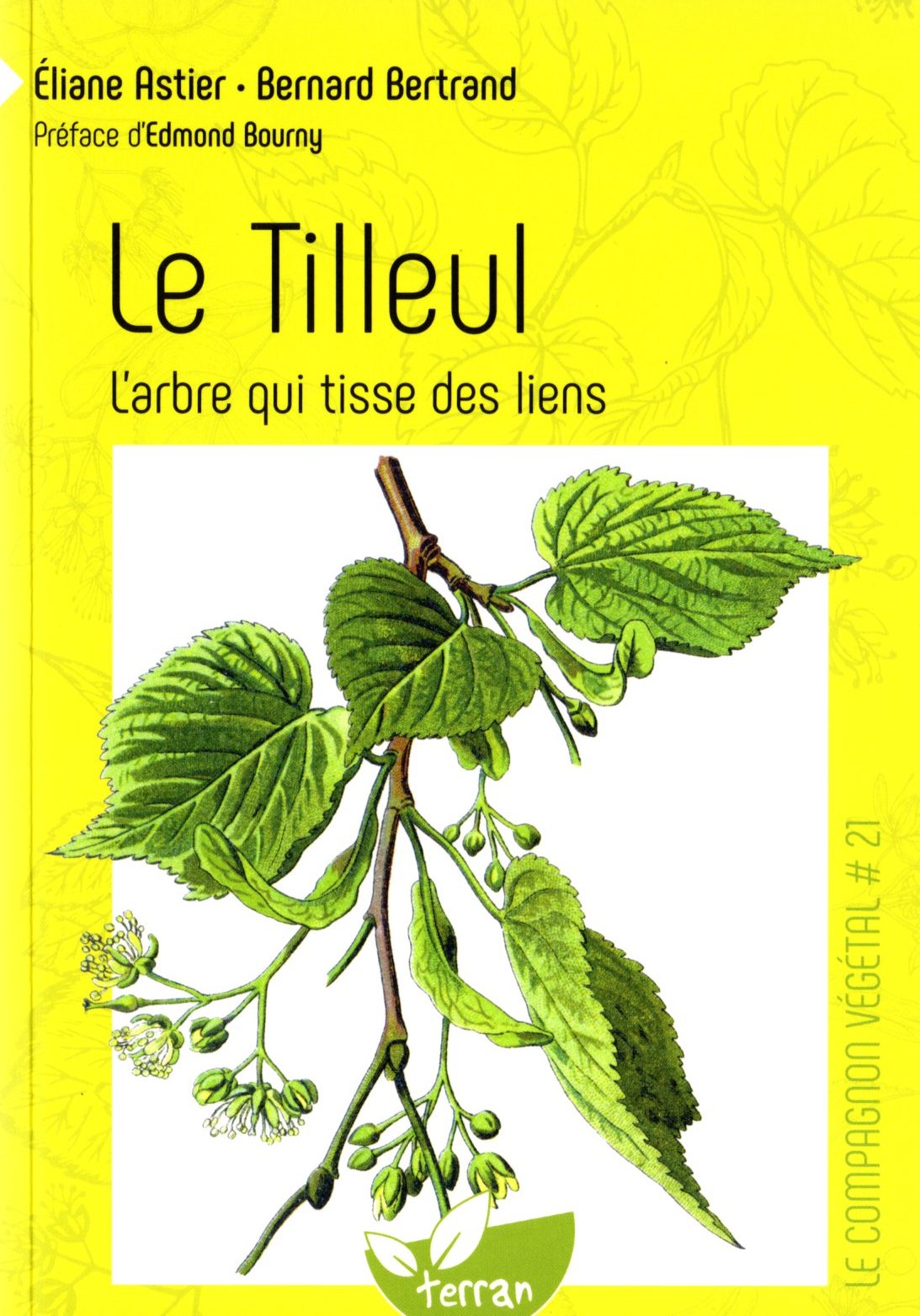 Le tilleul - Promonature