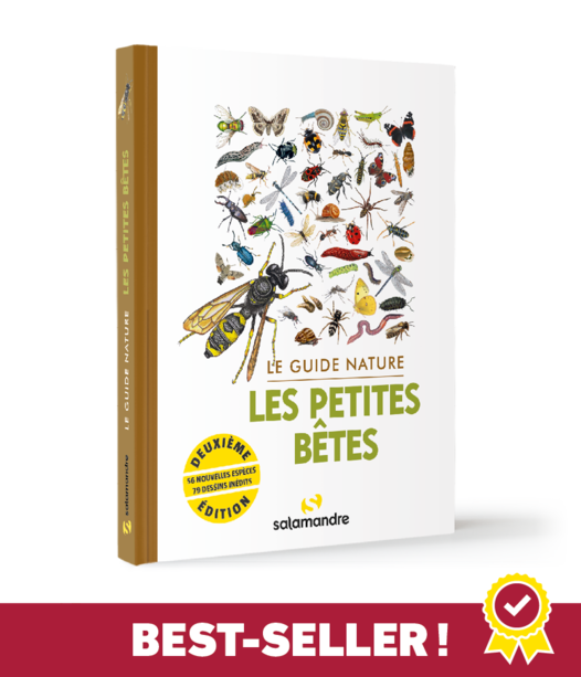 Le guide nature Les petites bêtes - 3e édition - Promonature